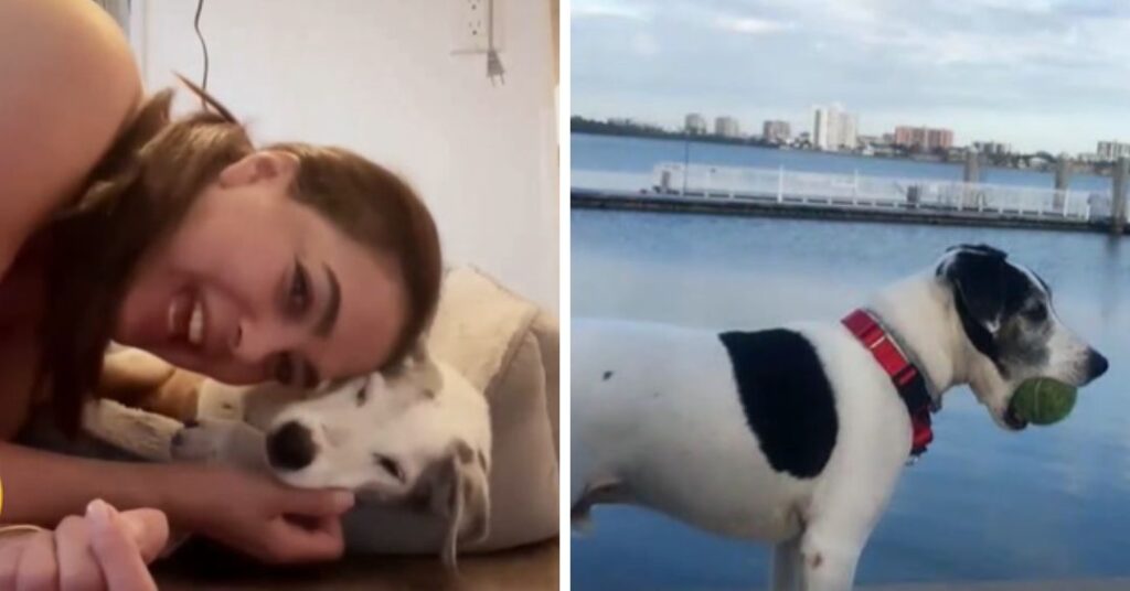 Ruddy Rodríguez: Actriz venezolana anuncia la muerte de su perro ...